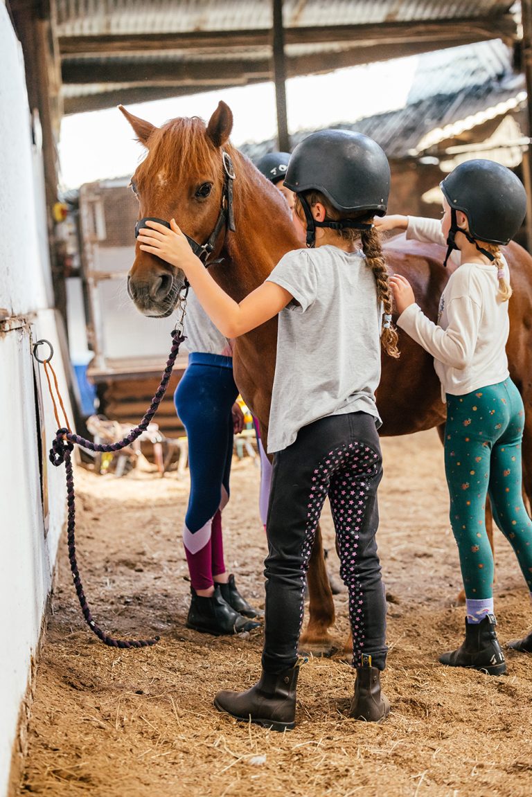 Gallery - Oaklands Riding School