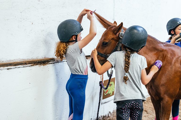 Gallery - Oaklands Riding School