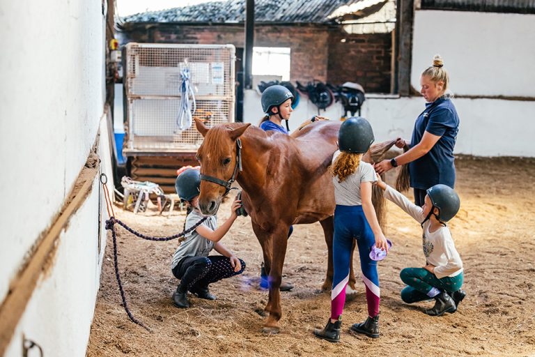 Gallery - Oaklands Riding School
