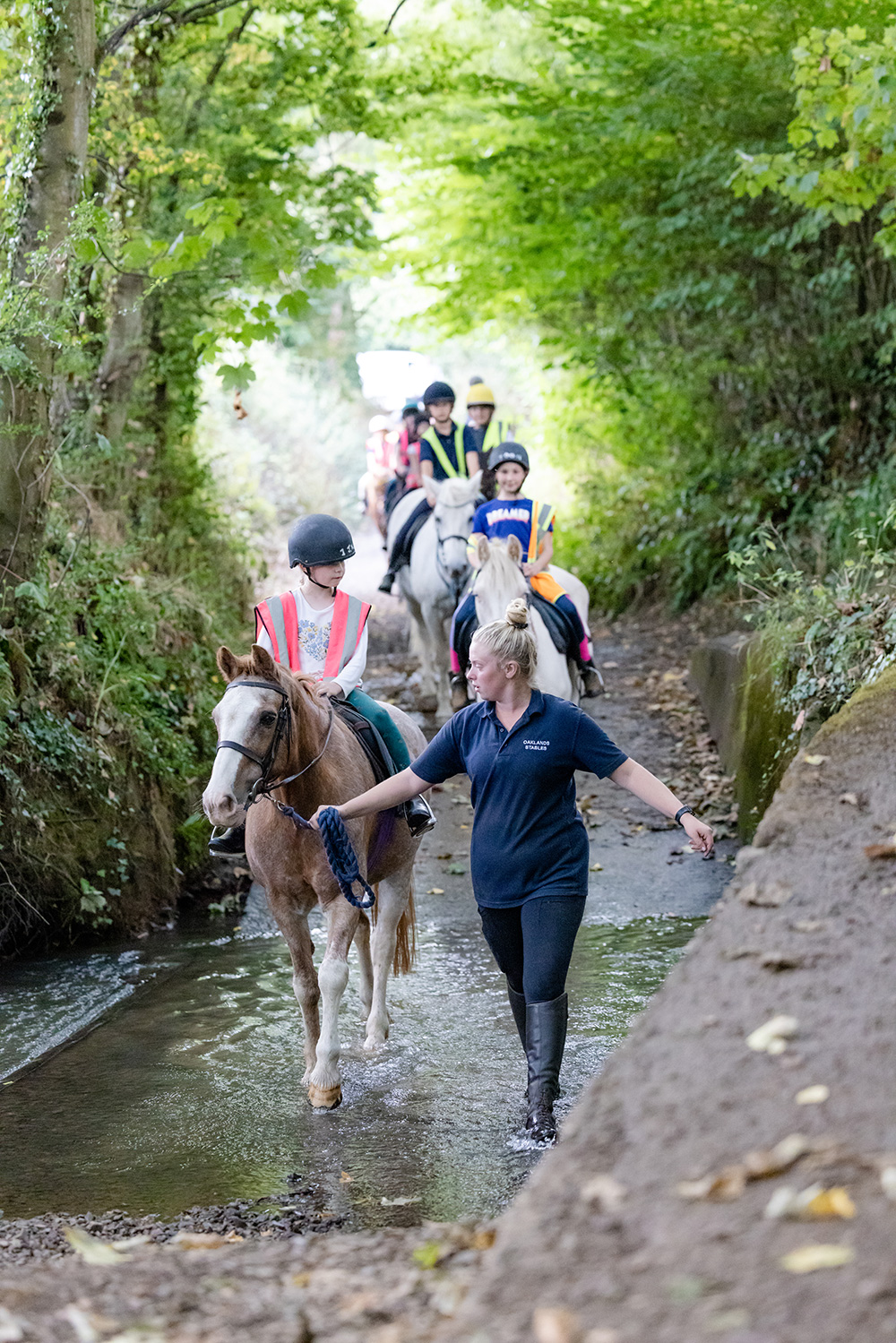 Gallery - Oaklands Riding School