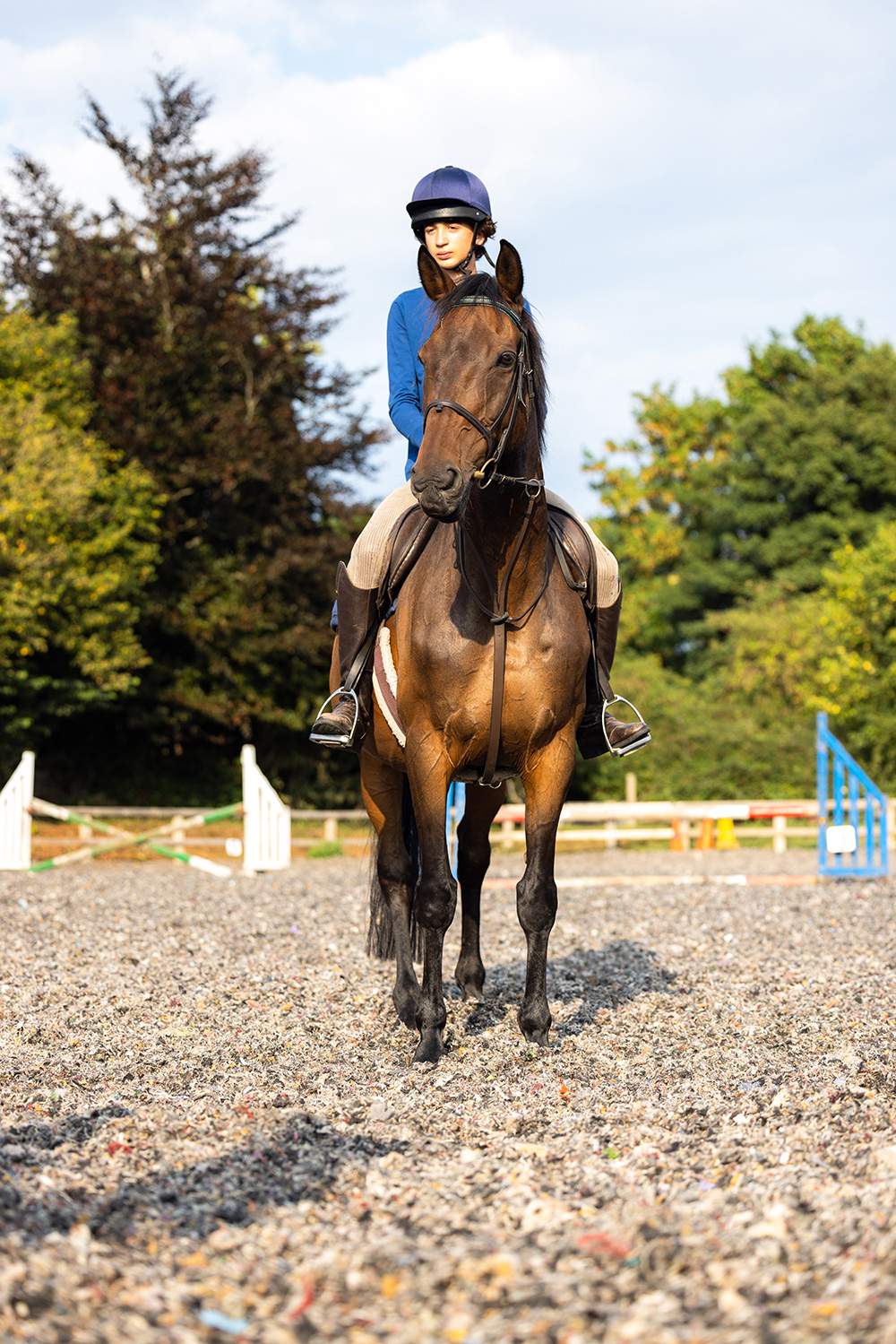 Gallery - Oaklands Riding School