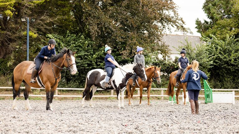 Gallery - Oaklands Riding School